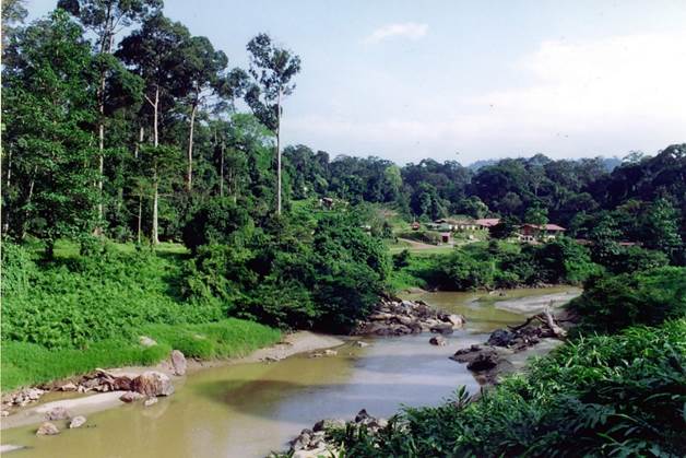 Danum Valley Field Centre (DVFC)